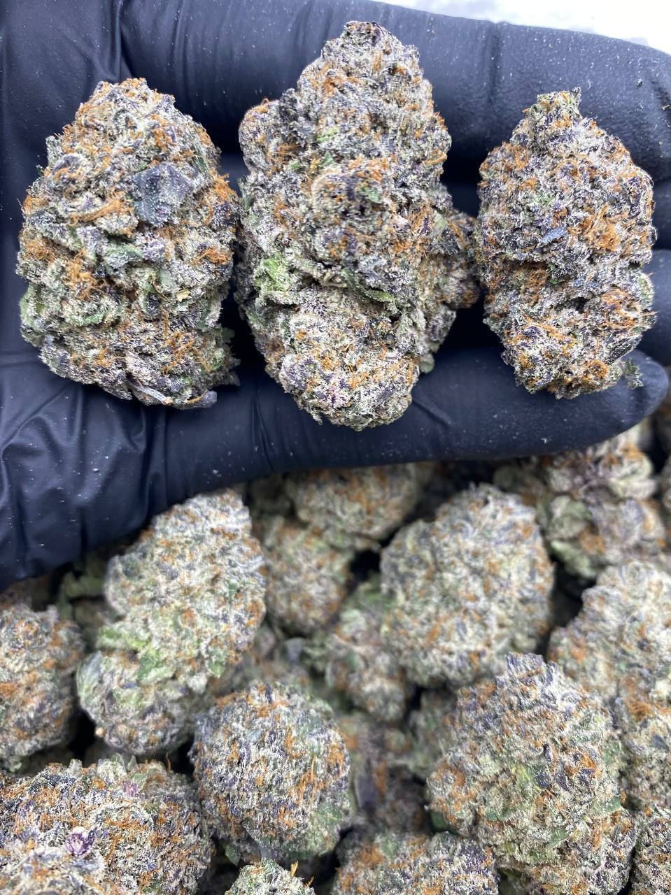 Purple Zookies - Pounds Club Menu